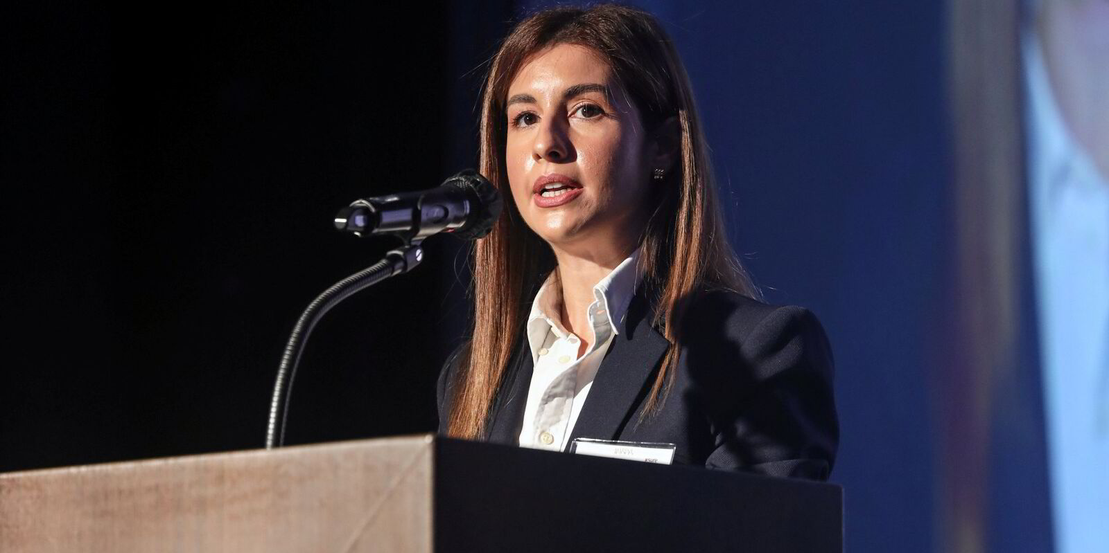 Chara Georgousi: Address the inefficiency of fleet renewal and advance ...