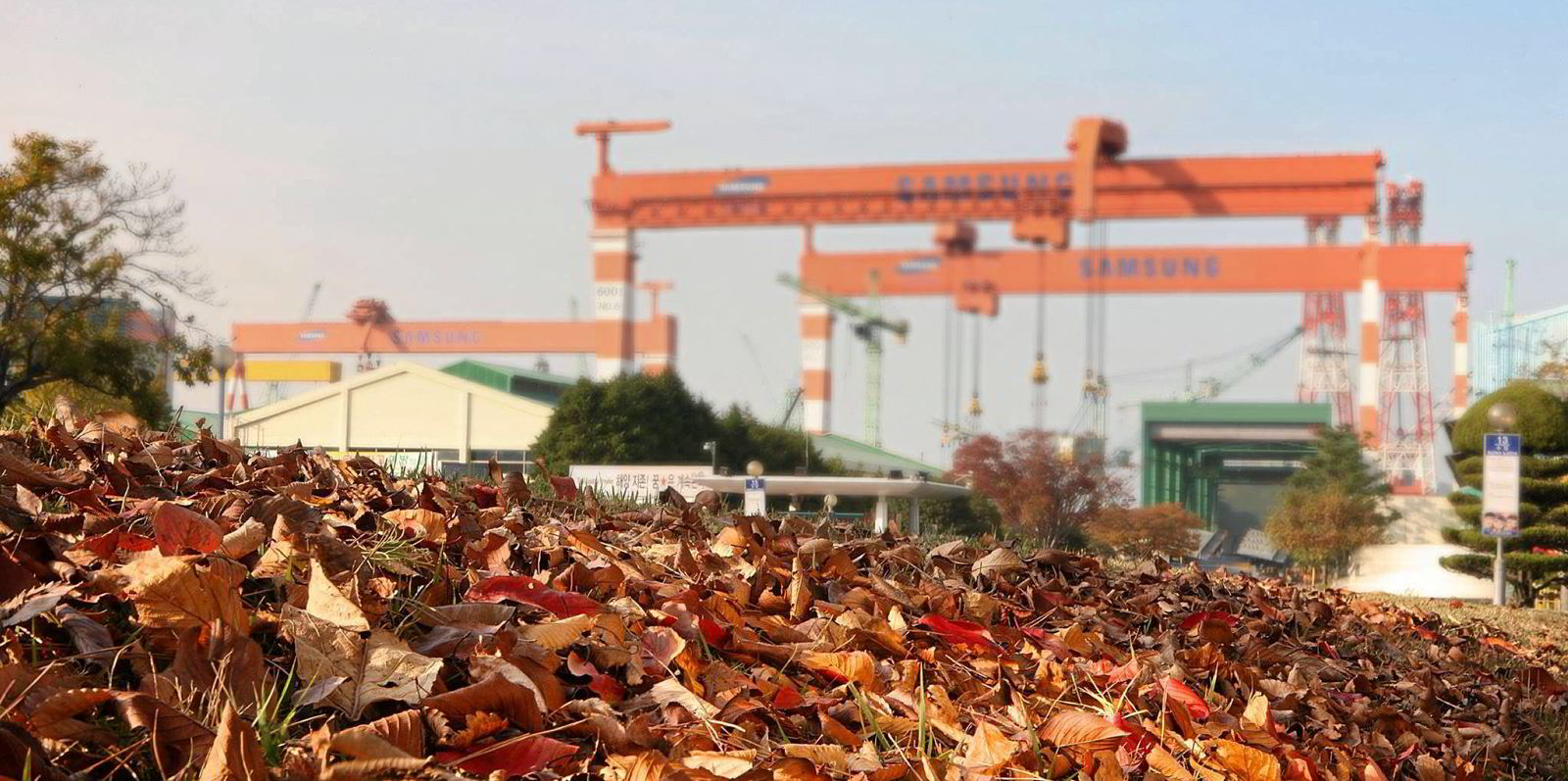 Evergreen places 20-ship newbuilding order at Samsung in surprise move ...