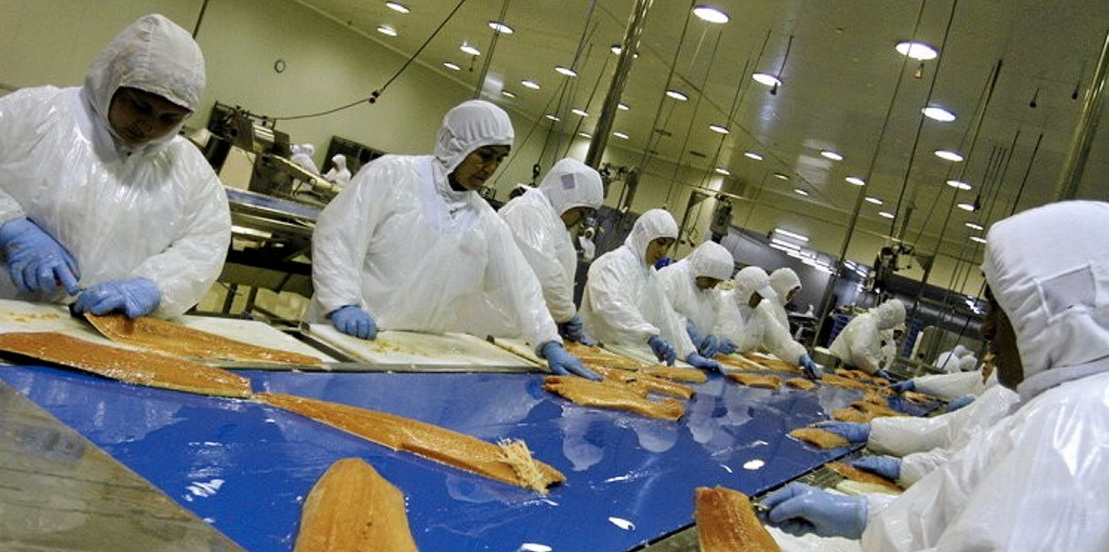 Chile's salmon exports to US rise in first quarter, while Brazil, Japan ...