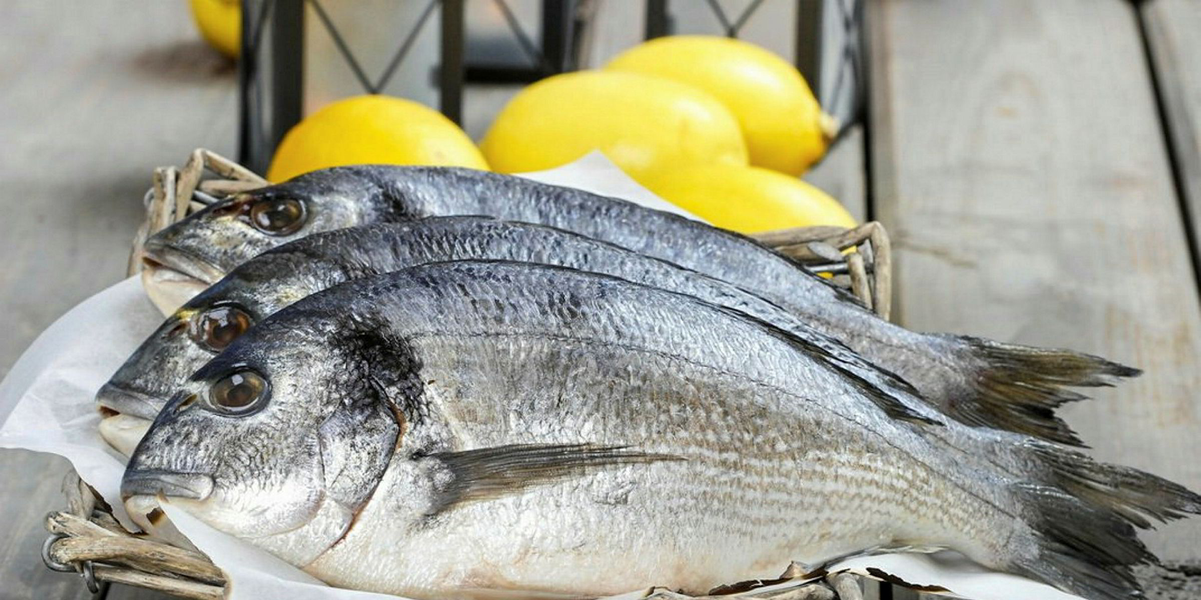 Is the Mediterranean bass, bream sector breaking its boom and bust ...
