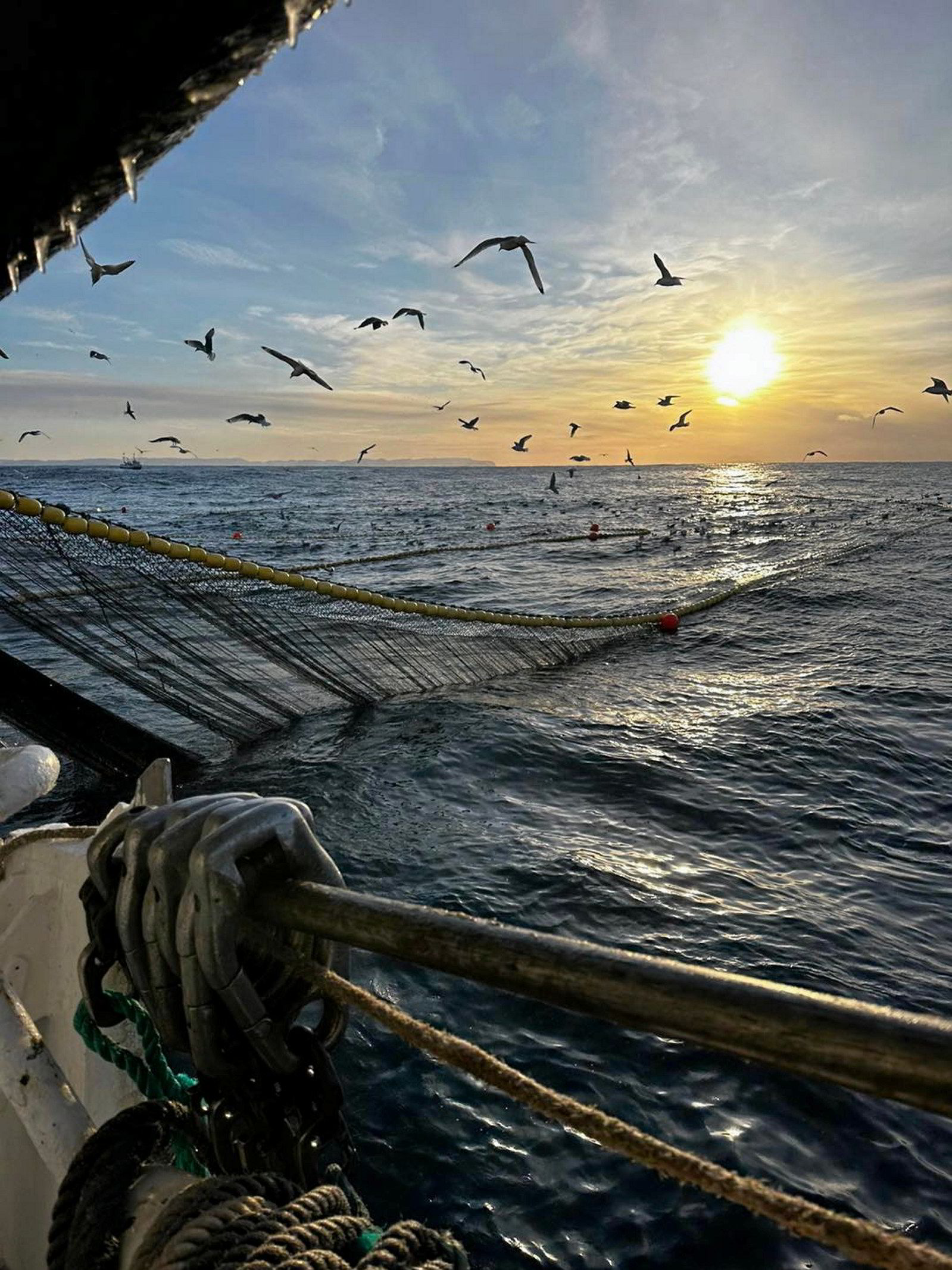 Full klaff på lodda for «Tunfisk» | Fiskeribladet