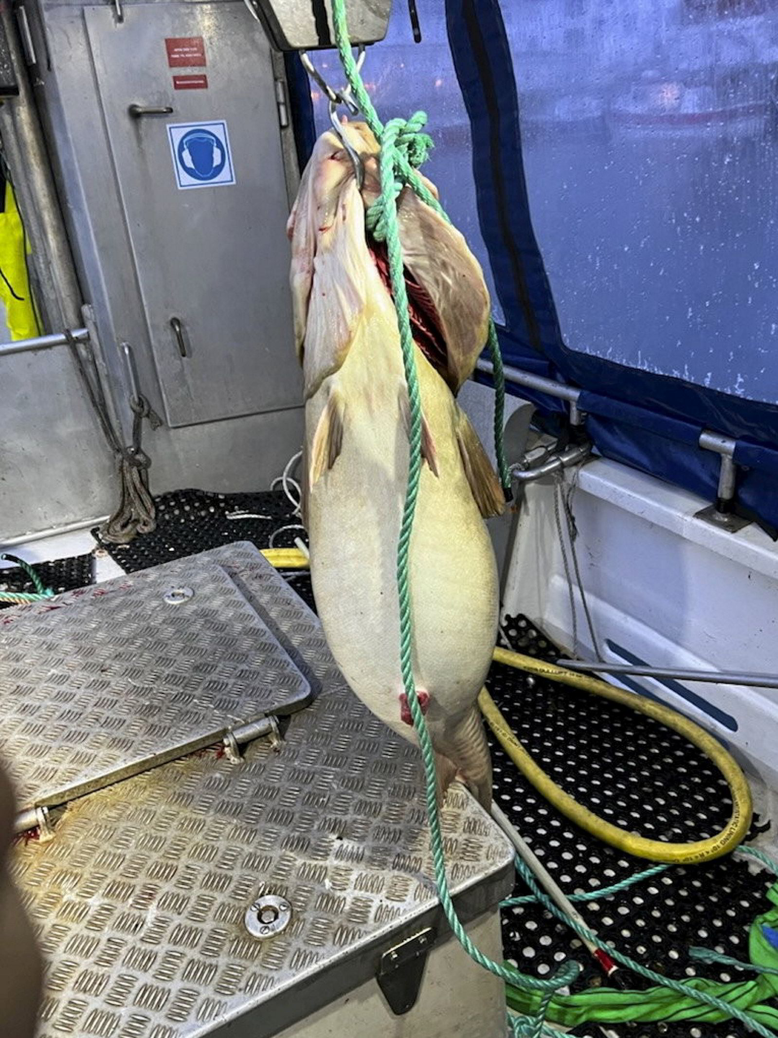 Det har rett og slett vært veldig varierende fiske, fra godt til ...