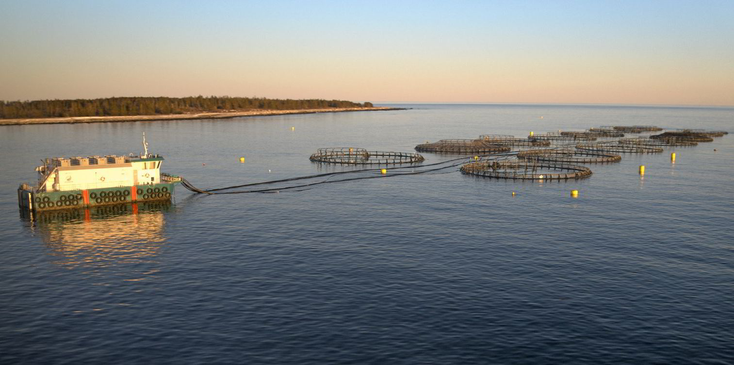 Canadian regulators scrutinize Cooke proposal to expand Nova Scotia ...