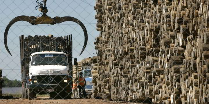 China’s Cosco Shipping inks $1bn deal for 20 wood-pulp carrier ...