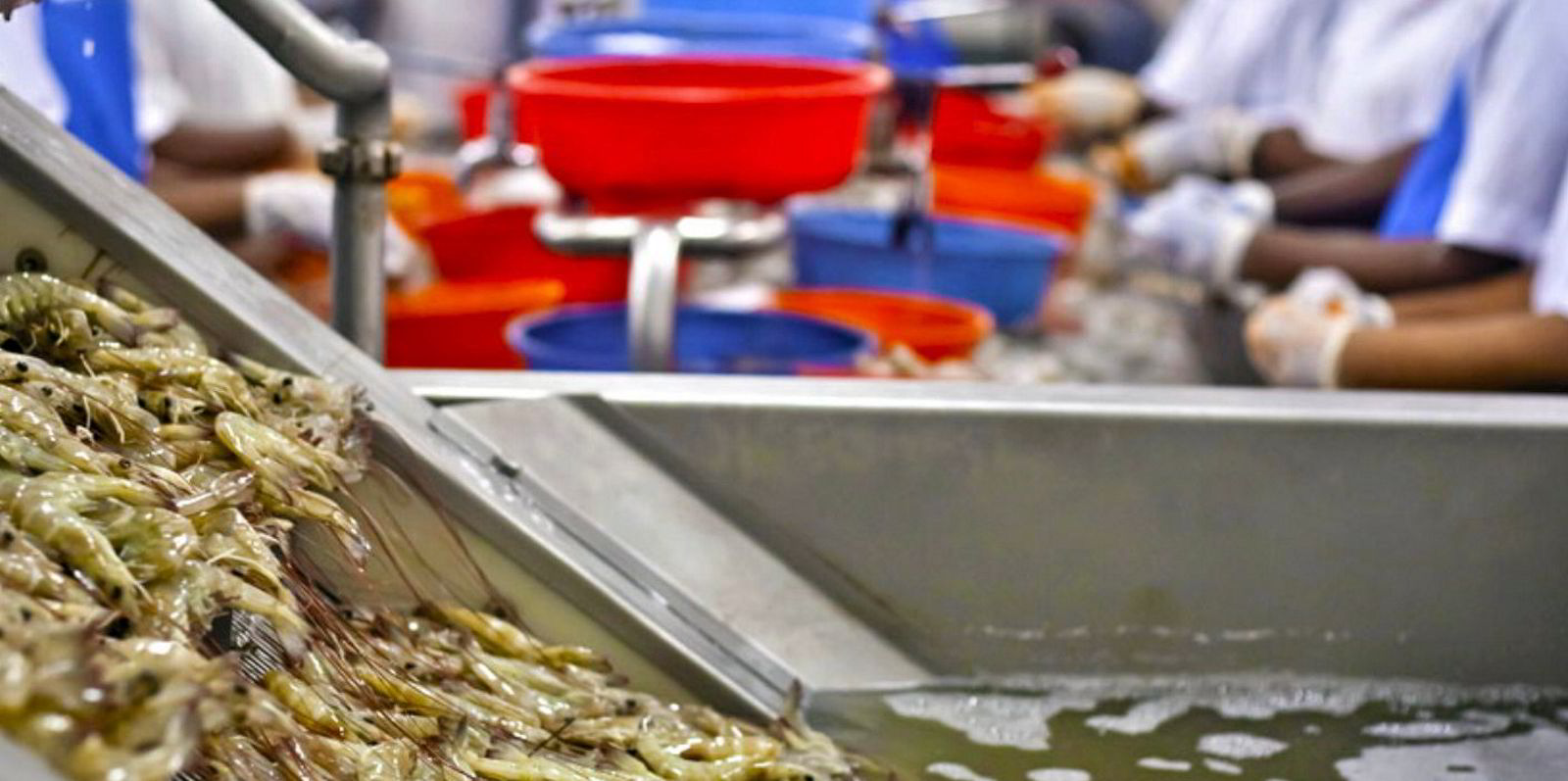 Indian conglomerate to double shrimp processing capacity with new ...
