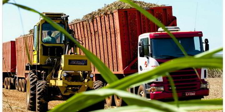 Biofuels set to drive Brazil’s vehicle market | Upstream Online