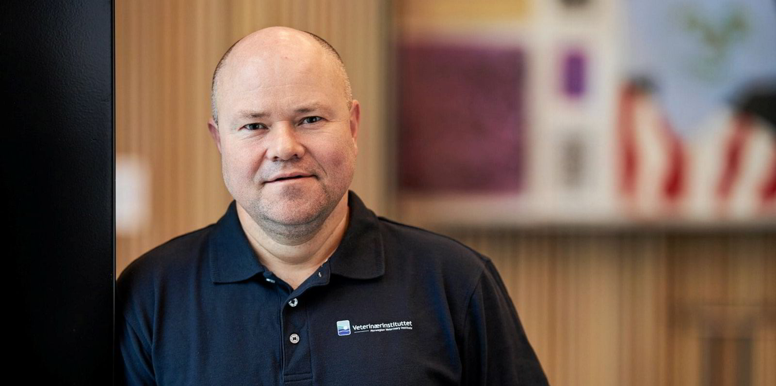 Vi har ikke sett tilsvarende omfang av BKD-utbrudd på over 20 år | IntraFish.no