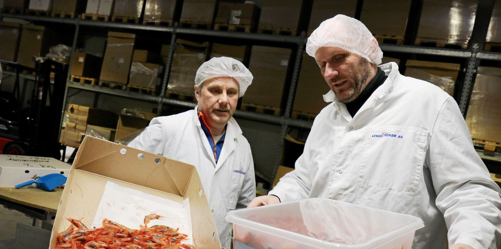 Jack-Robert Møller ved Lyngen Reker: – Hvis utviklingen fortsetter må ...