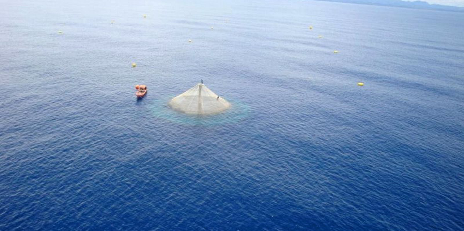 The possibility of offshore salmon farming in US waters just got a big ...