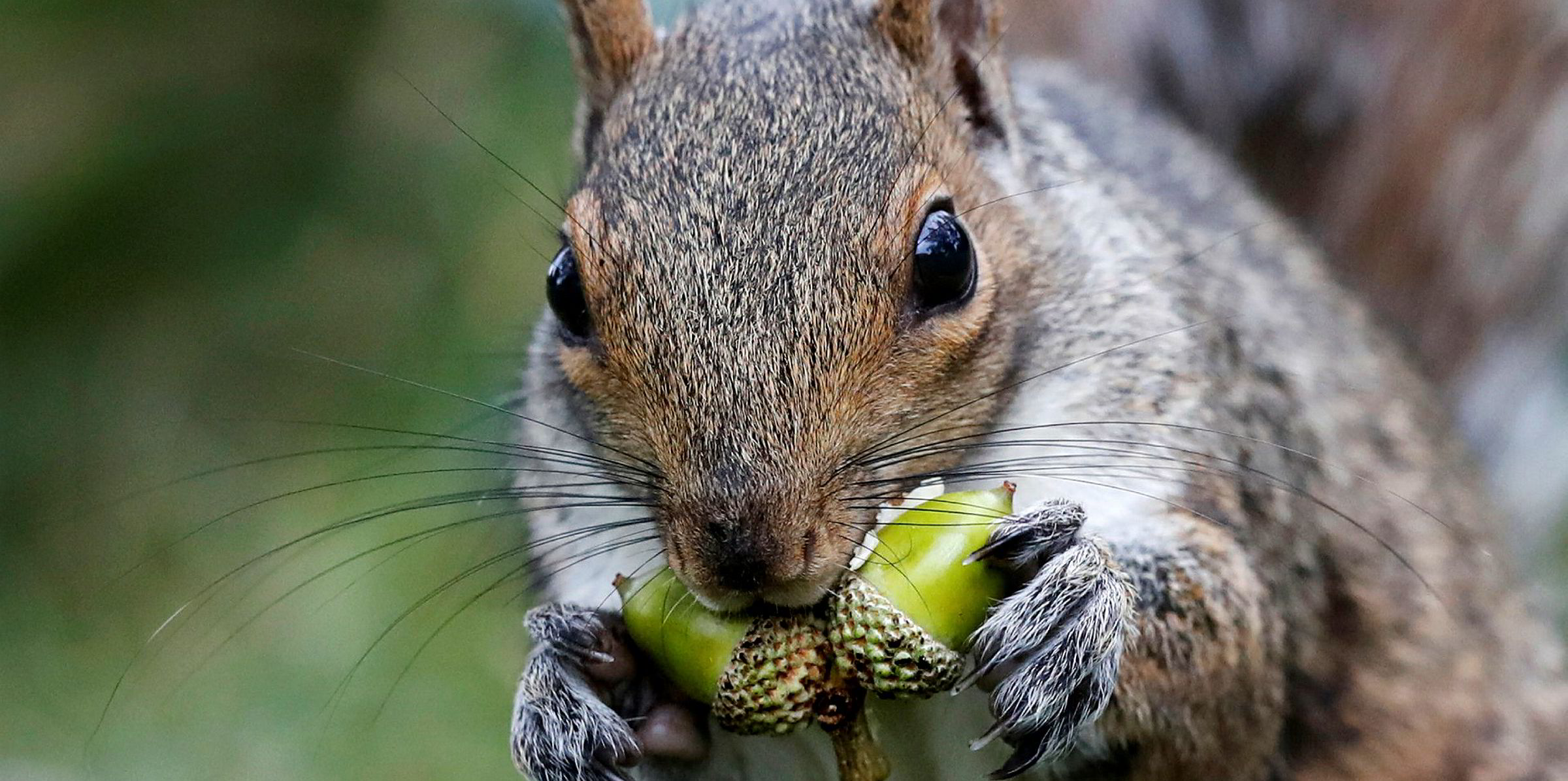 Acorn CCS and hydrogen project drives clean energy player's growth plan ...