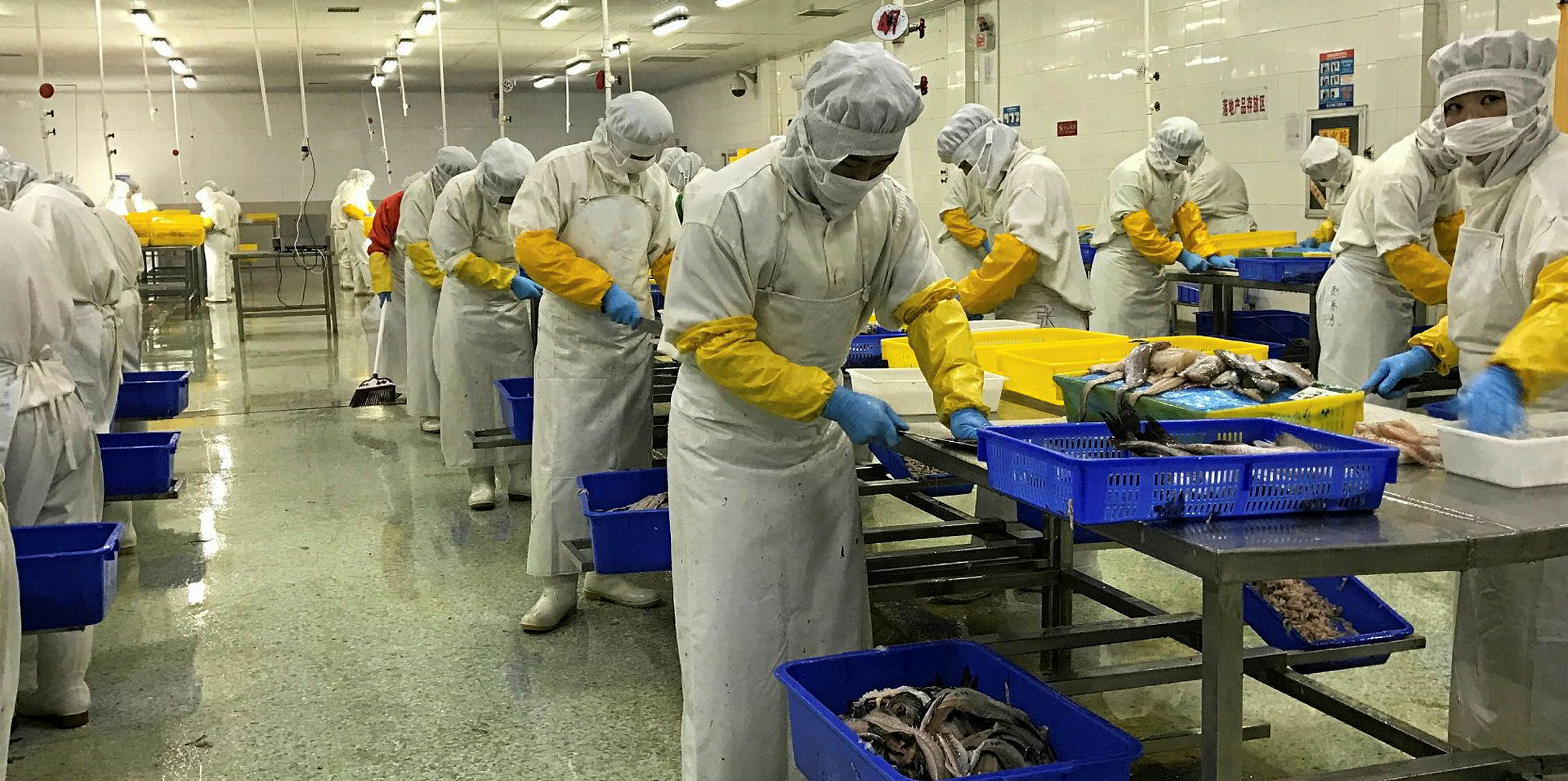 Can you name the 10 biggest seafood producing countries in the world ...