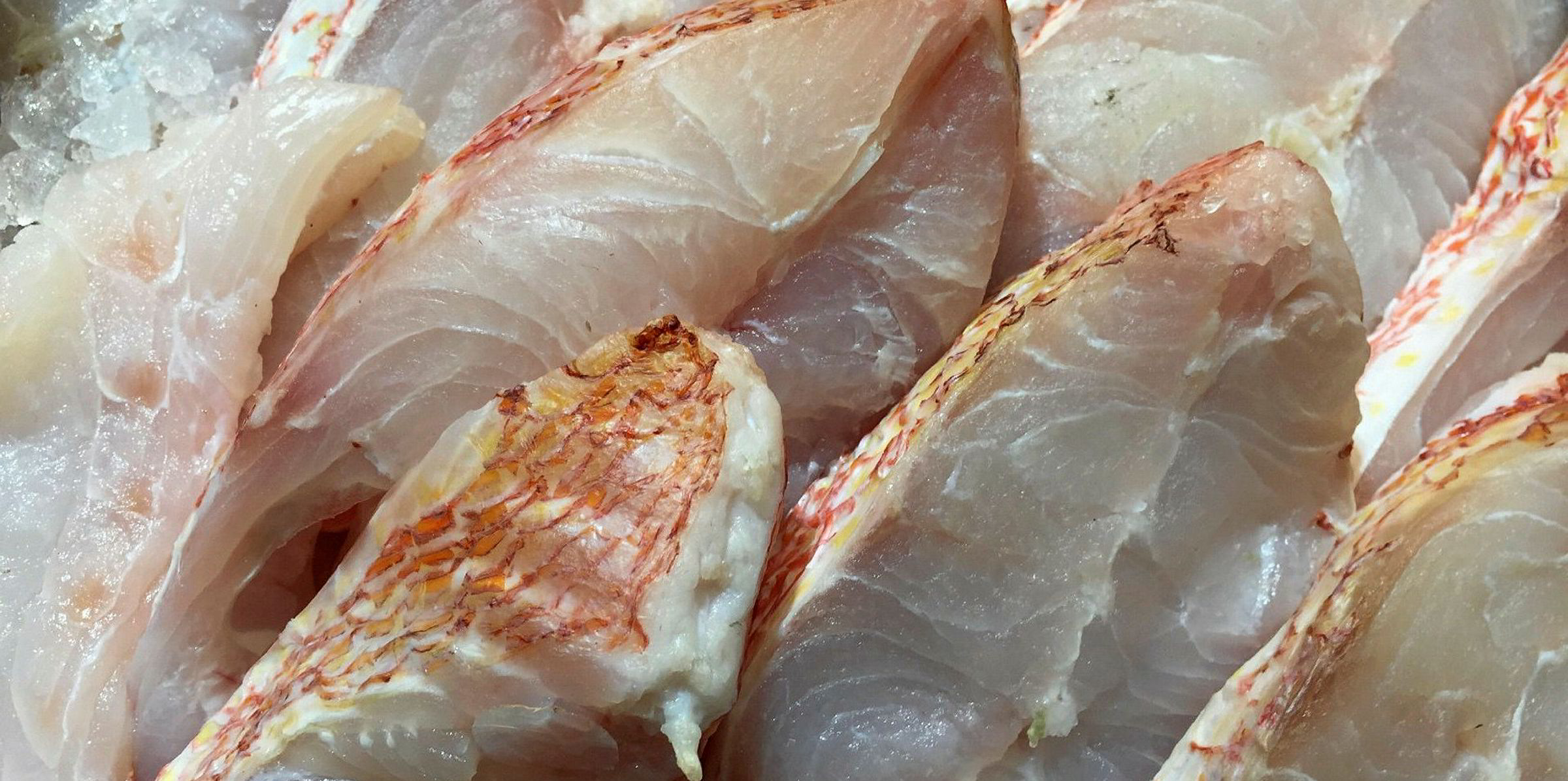 Study: Seafood mislabeling threatens fish stocks | IntraFish.com