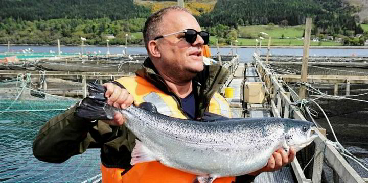 Entrepreneur scraps plans for massive land-based salmon farming project ...
