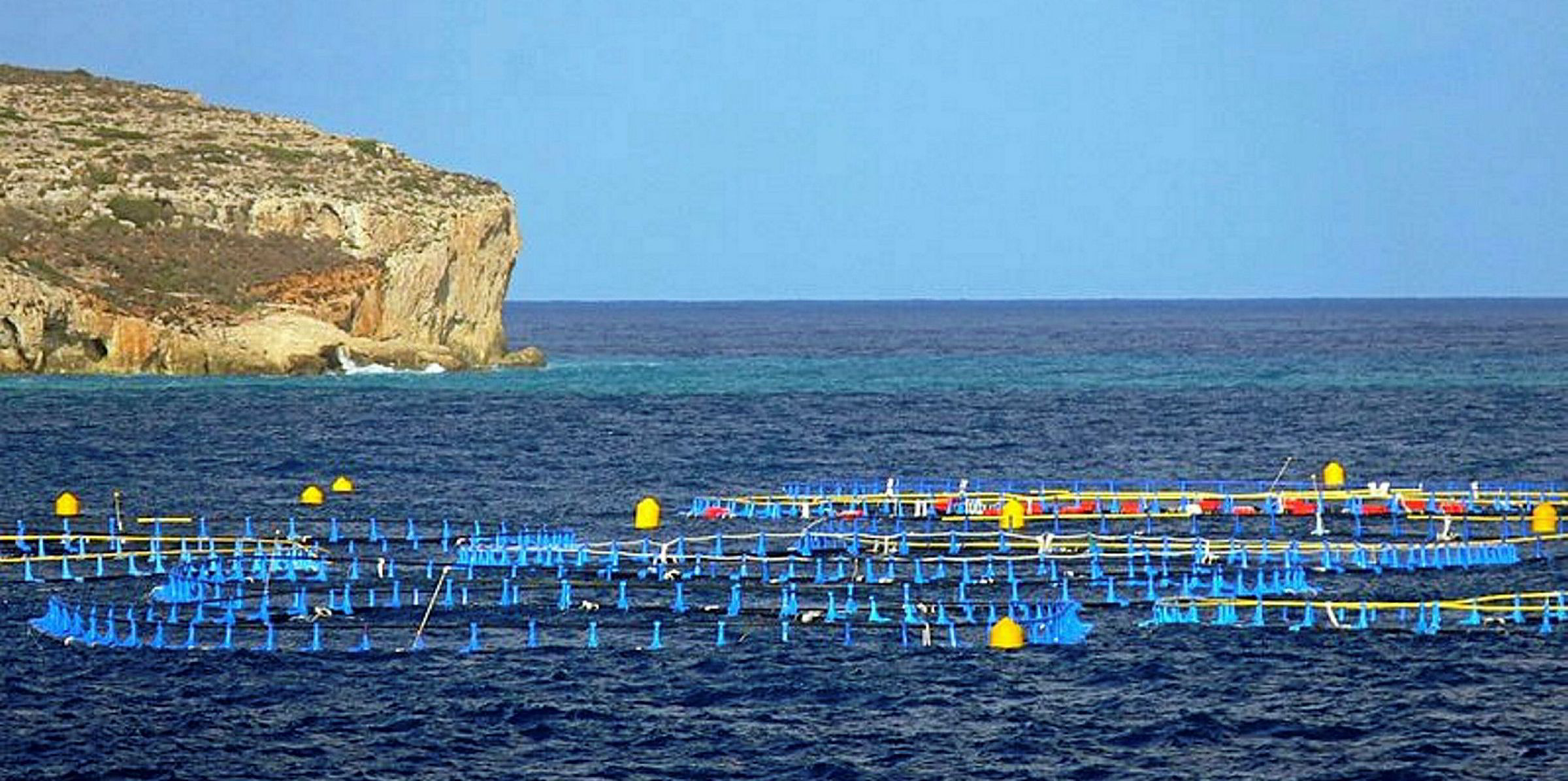 Spanish authorities widen investigation in Malta tuna scandal ...