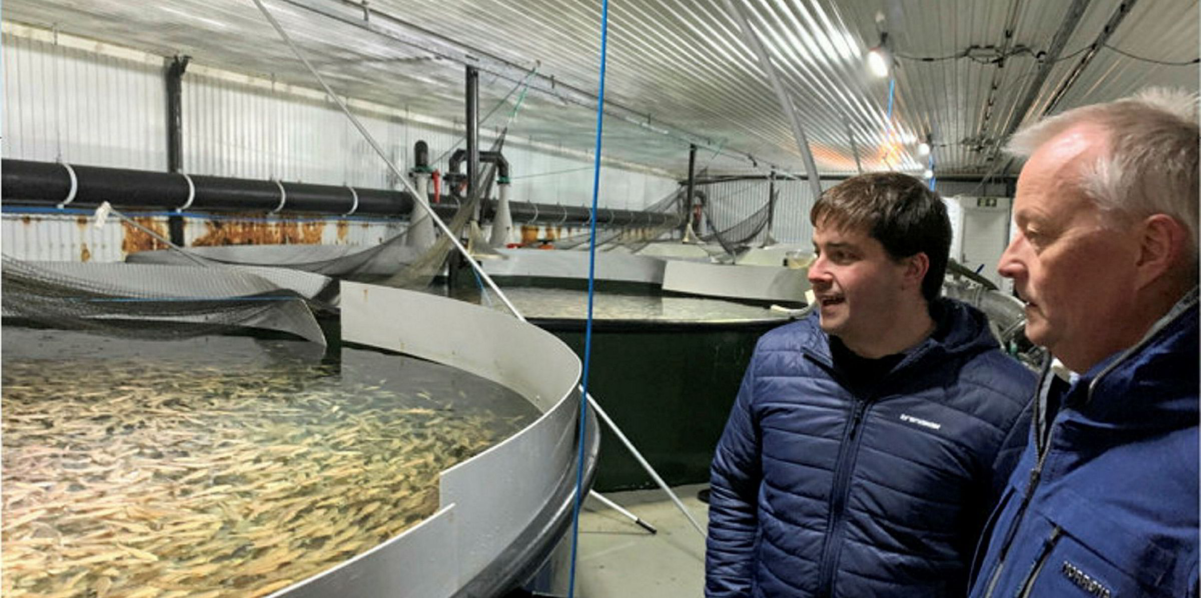 Arctic Cod om utvidelse: – I dag er det en helt annen situasjon, og et bedre utgangspunkt for ...