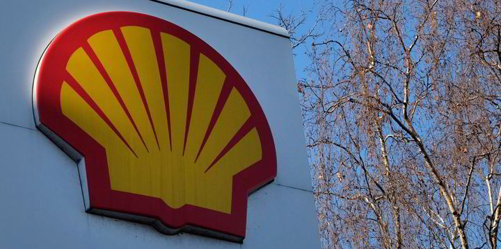 Russian court asked to offer Shell an exit route from Salym joint ...