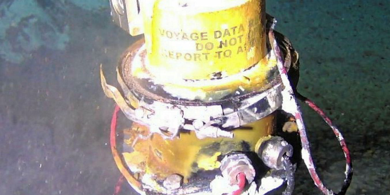 Stellar Daisy relatives demand second deep-sea probe | TradeWinds