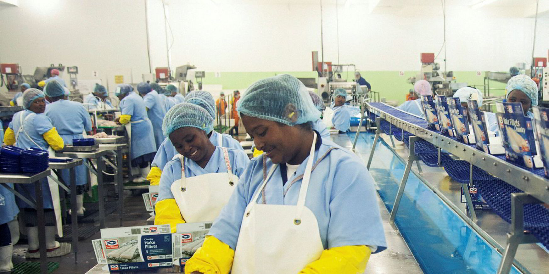 Sea Harvest facility in South Africa fully reopens after over 80 COVID ...