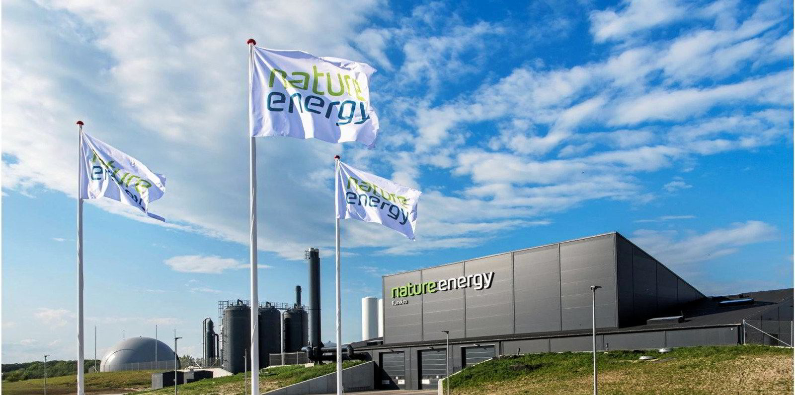 Shell pays $2 billion to buy Danish biomethane producer | Upstream Online