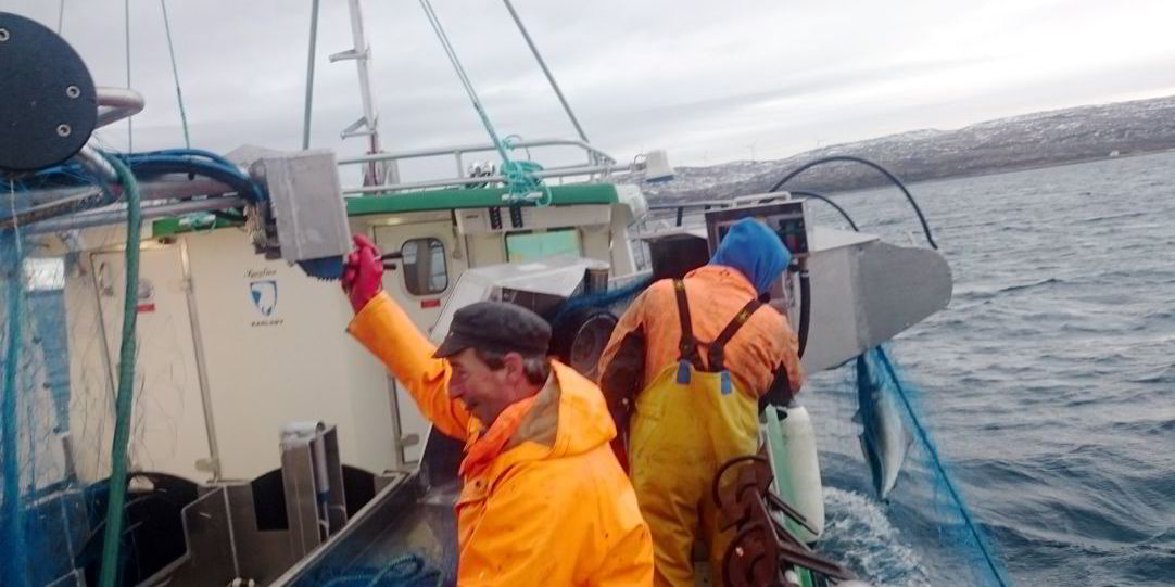 Full klaff for el-sjarken | Fiskeribladet