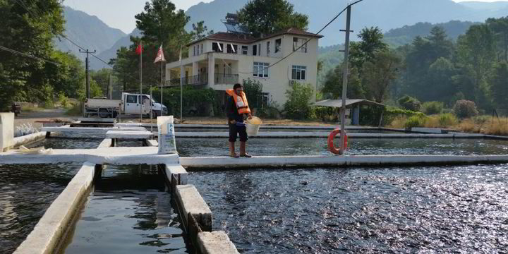 First Turkish trout farm scoops ASC stamp | IntraFish.com