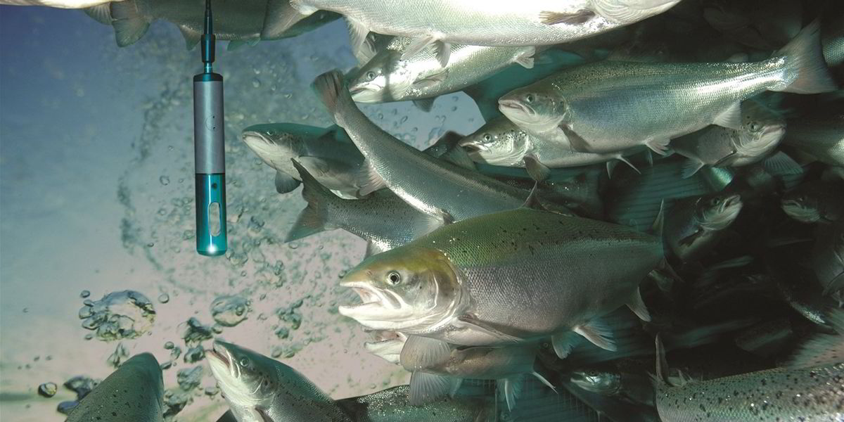 RAS tech: Engineering the future | IntraFish.com