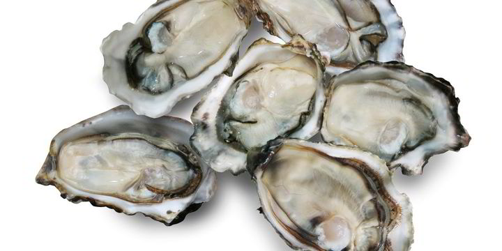 Scottish shellfish firm opens new processing facility | IntraFish.com