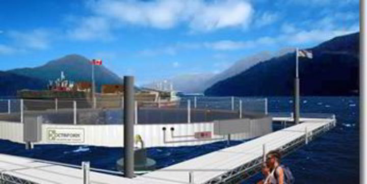 Design work under way for B.C. closed-containment pilot project ...