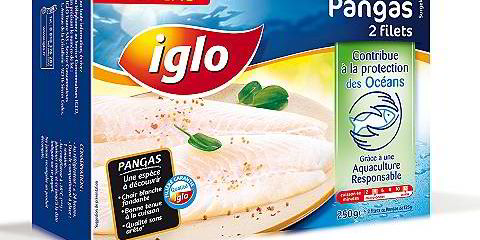 Iglo France launches family-focused strategy | IntraFish.com