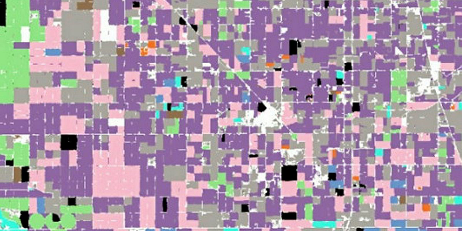 Cargill: Digital trading solutions must be all-inclusive to succeed ...