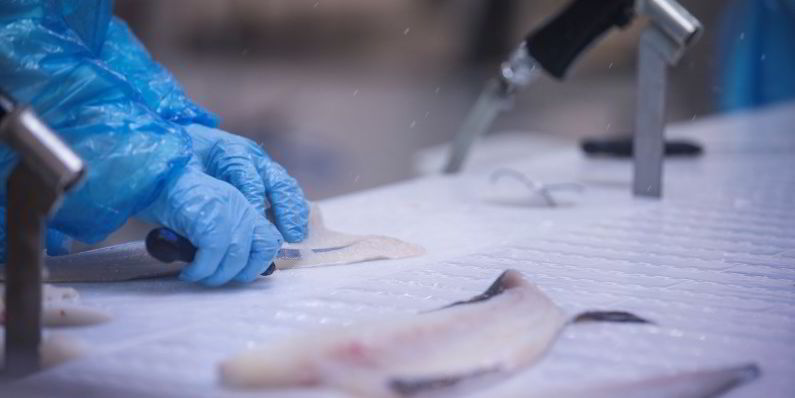 Royal Greenland unveils new ultra fresh cod concept | IntraFish.com