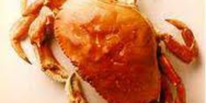 California crab season opens late | IntraFish.com