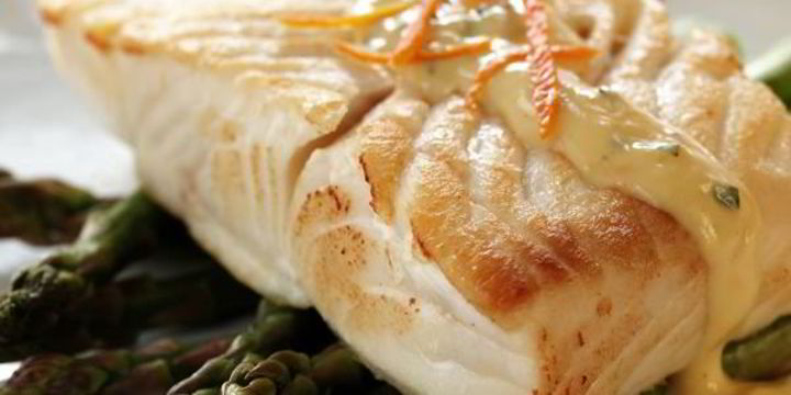 Scottish halibut farmer wins Waitrose award, supply contract ...