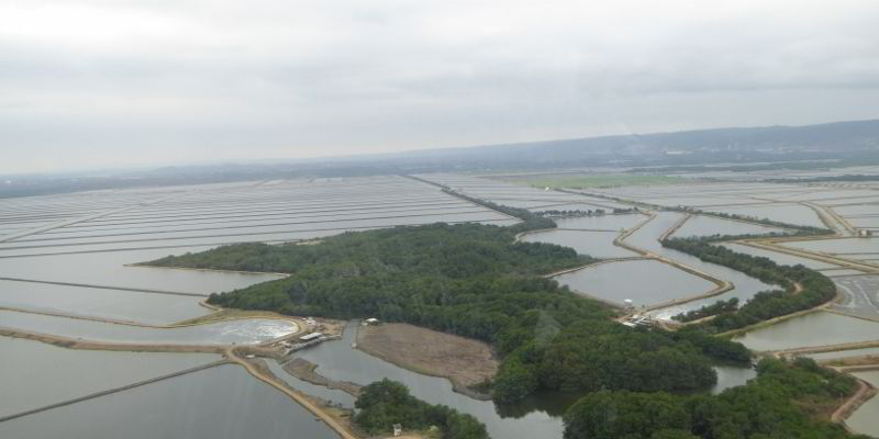 Omarsa becomes first seafood company to get Ecuador AEO | IntraFish.com