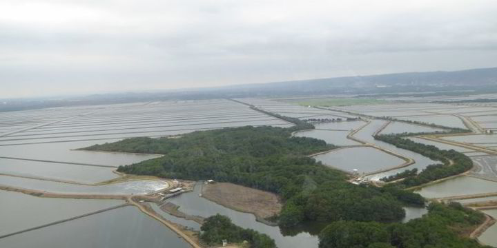 Omarsa becomes first seafood company to get Ecuador AEO | IntraFish.com