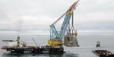 Buzzard turning sour for Nexen | Upstream Online