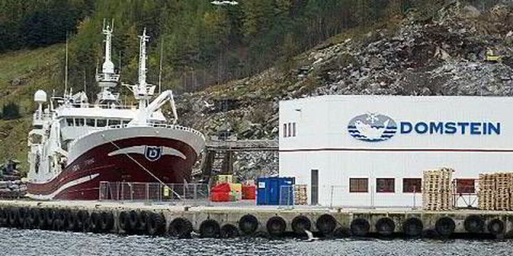 Bedret drift i 2. kvartal | IntraFish.no Bedret drift i 2. kvartal | IntraFish.no
