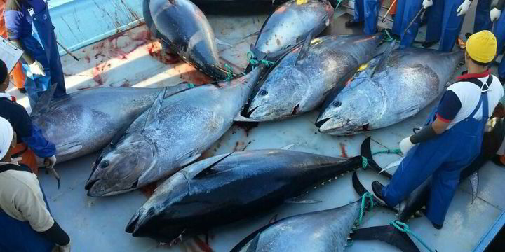 Japan’s fisheries agency sets legal bluefin tuna catch limit ...