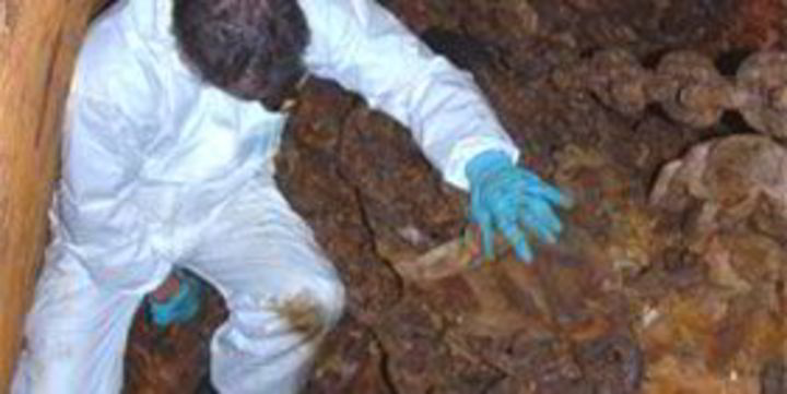 Deadly locker | TradeWinds