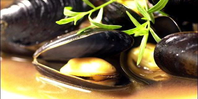 Scottish shellfish producers land Waitrose MAP contract | IntraFish.com