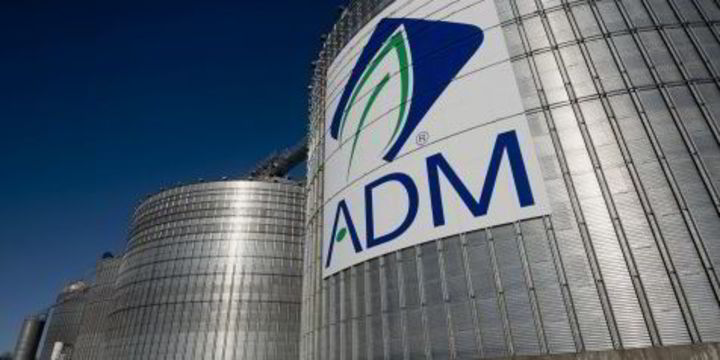 ADM expands in Egypt | TradeWinds