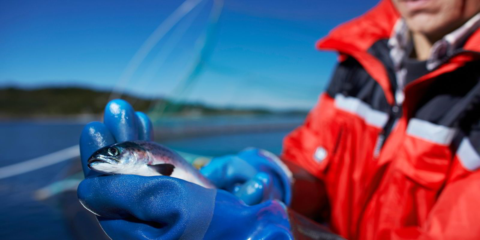 Utvider Matvaretabellen med omega-3 og omega-6 | IntraFish.no