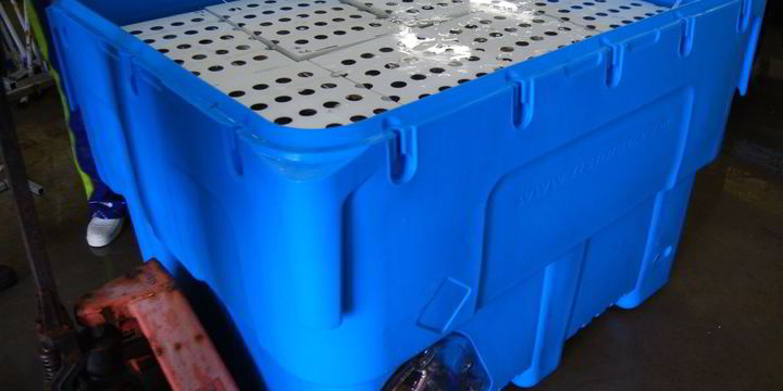 FishPac unveils new airfreight containers for live seafood | IntraFish.com