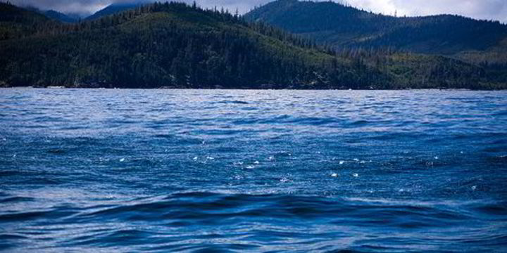 Canada's Naikun gains headwind with Hecate Strait project | Recharge