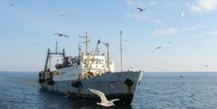 Russian pollock attacks WWF for 'weak management' claim | IntraFish.com