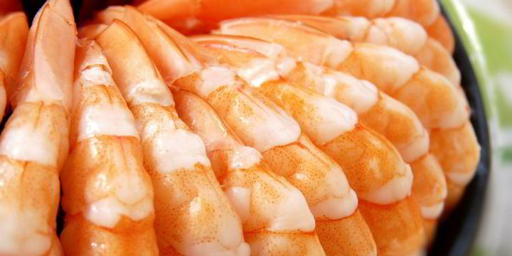 Tracing shrimp to country of origin now more accurate than ever, says ...