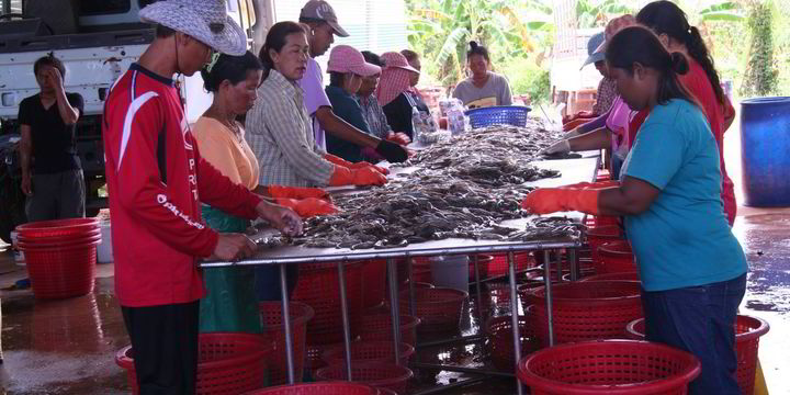 GAA defends BAP in wake of Thai slavery scandal | IntraFish.com