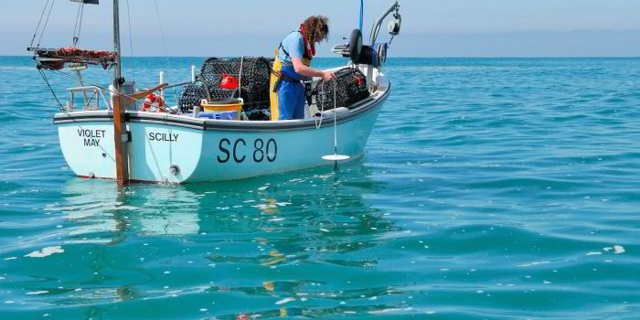 Group launches worldwide plankton study | IntraFish.com