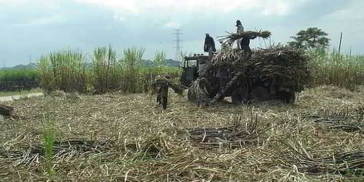 Slave labourers rescued from Brazilian ethanol refinery | Recharge