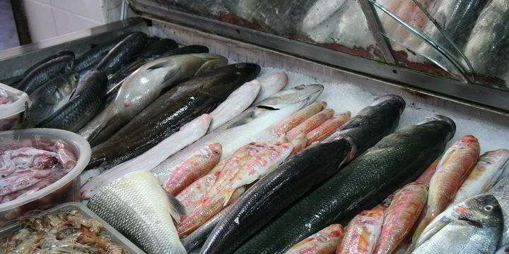 Brixham Fish Market celebrates seafood week | IntraFish.com